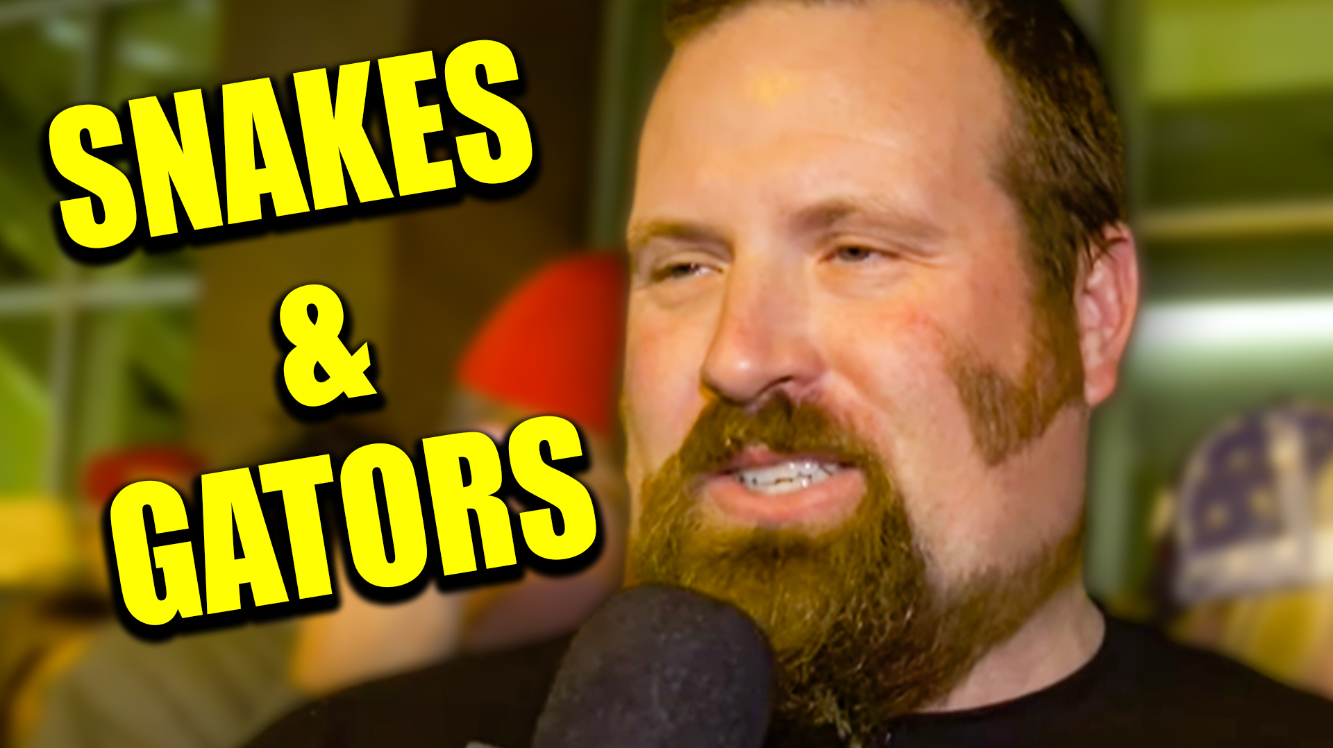 A Trump supporter suggests building moats filled with snakes and ...