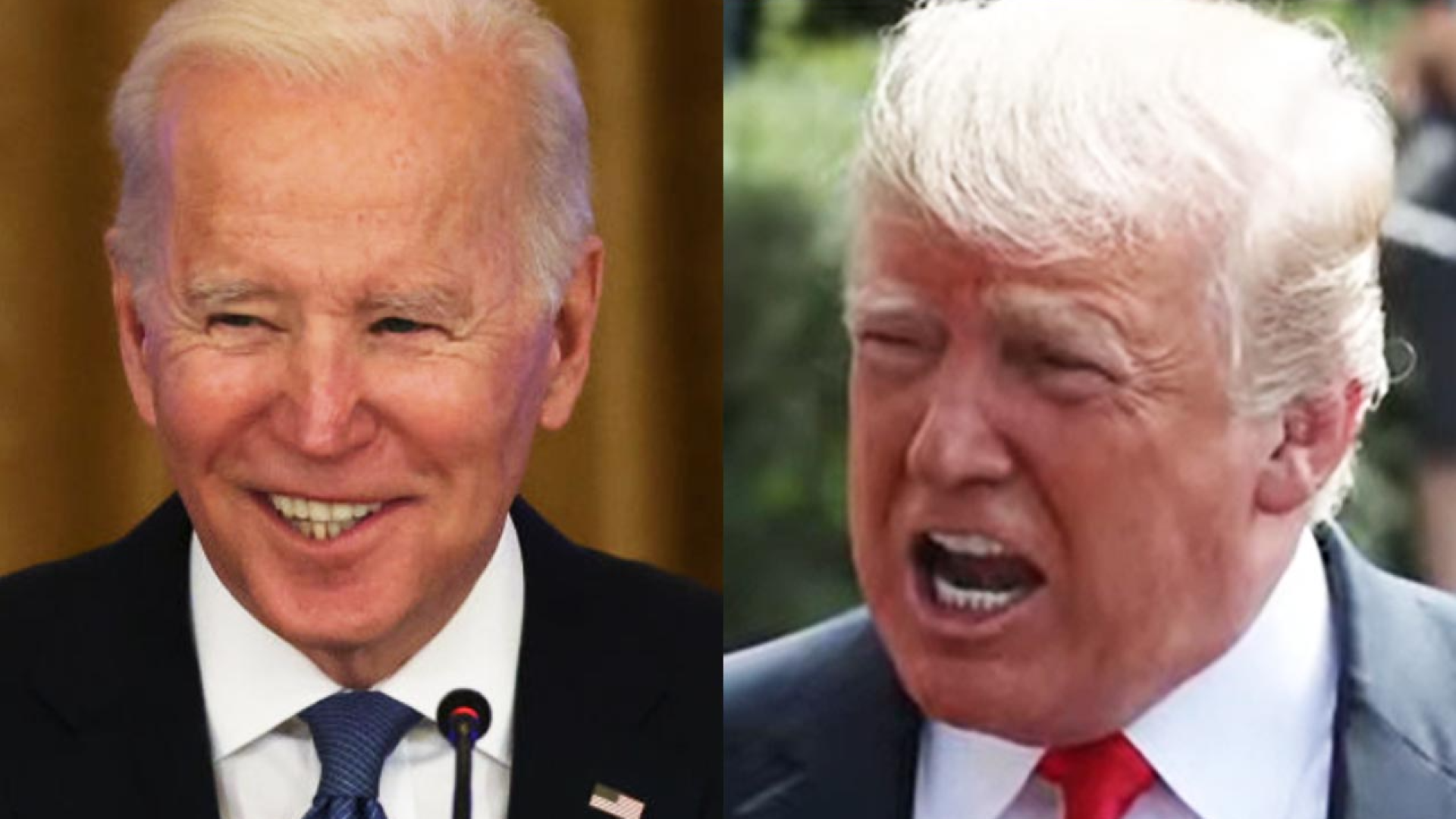 An Election Integrity Unit formed by Republicans in Virginia found ...